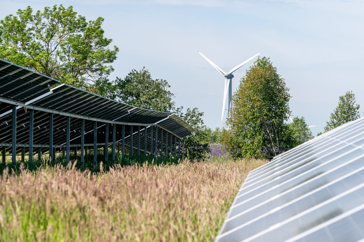 Ignitis Renewables